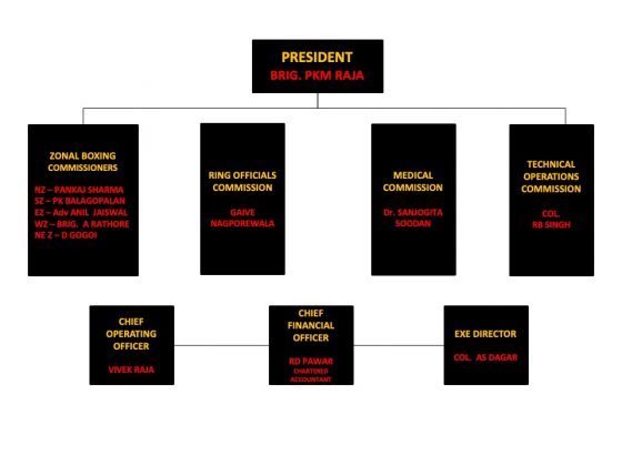 Inside IBC | Indian Boxing Council