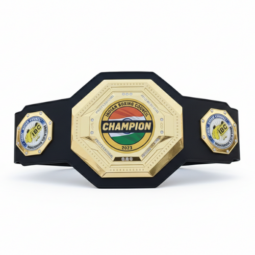 Official IBC Indian Professional Boxing Rankings | Indian Boxing Council